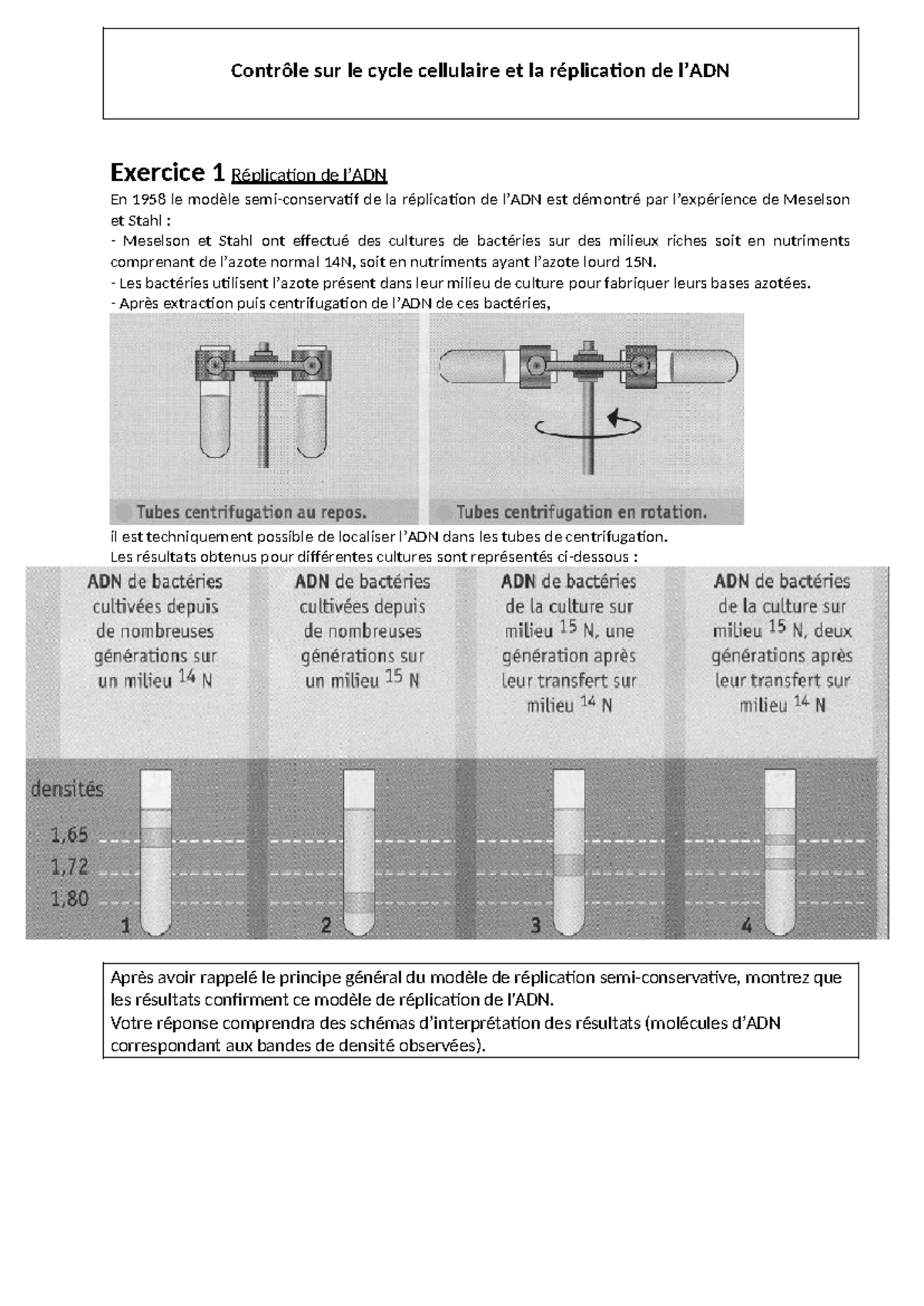 Contrôle 2 : Réplication du Matériel Génétique et Cycle Cellulaire ...