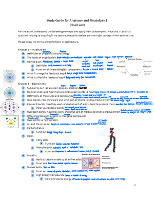 AP - Lab Ex. 07 review sheet. chapter 7 The Integumentary system - bio ...