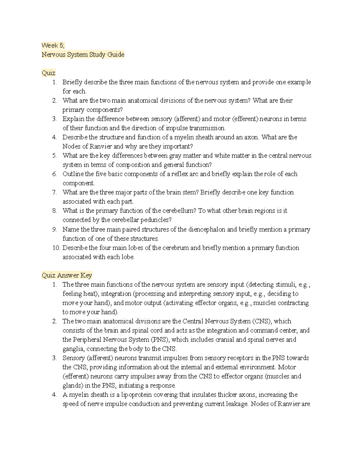 Anatomy Exam Study Guide: Nervous System & Vascular Pathways - Studocu