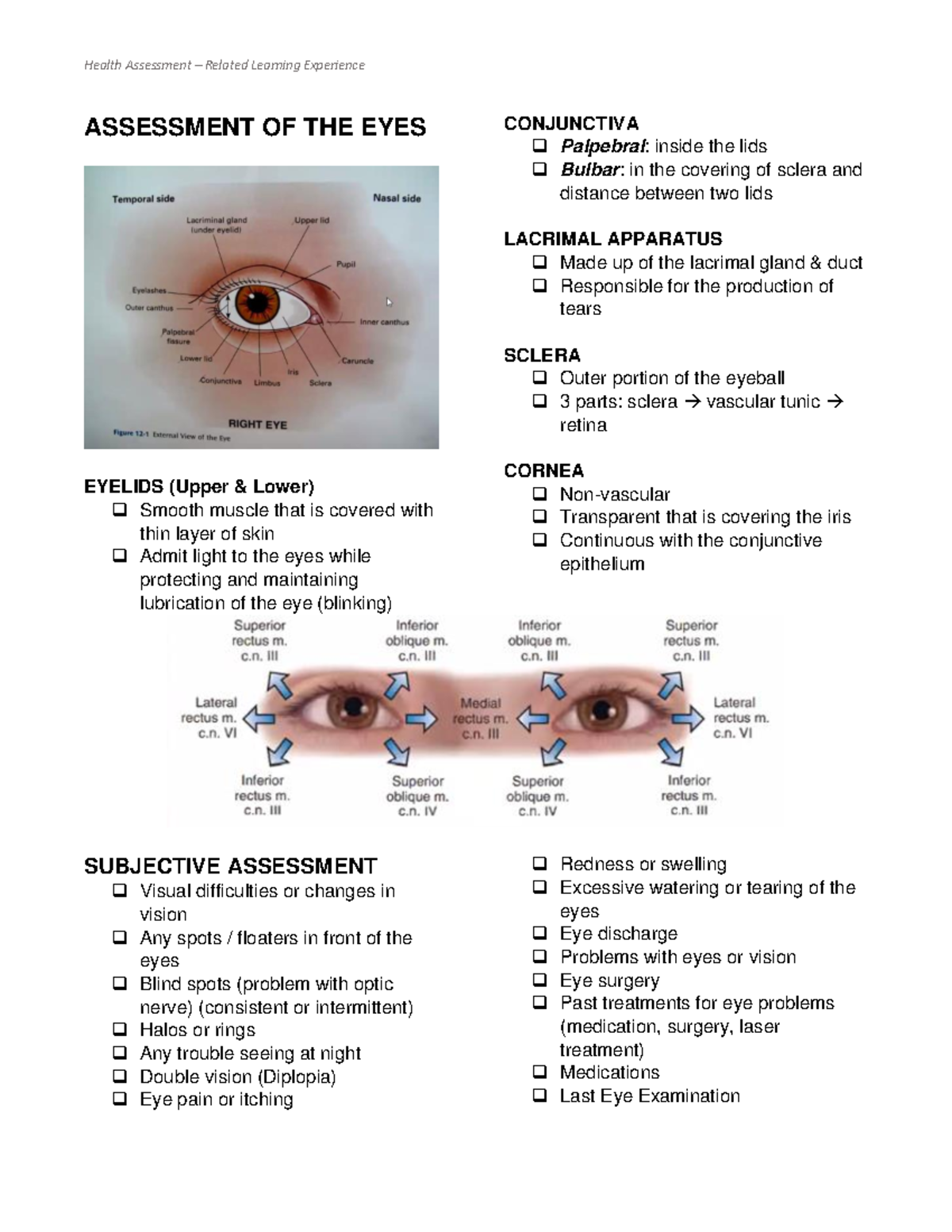 Eyes-Assessment - Eyes-Assessment - ASSESSMENT OF THE EYES EYELIDS ...
