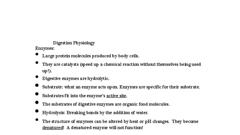 SCB 204 Lab #7 Digestion Phys On Line Presentation - Digestion ...