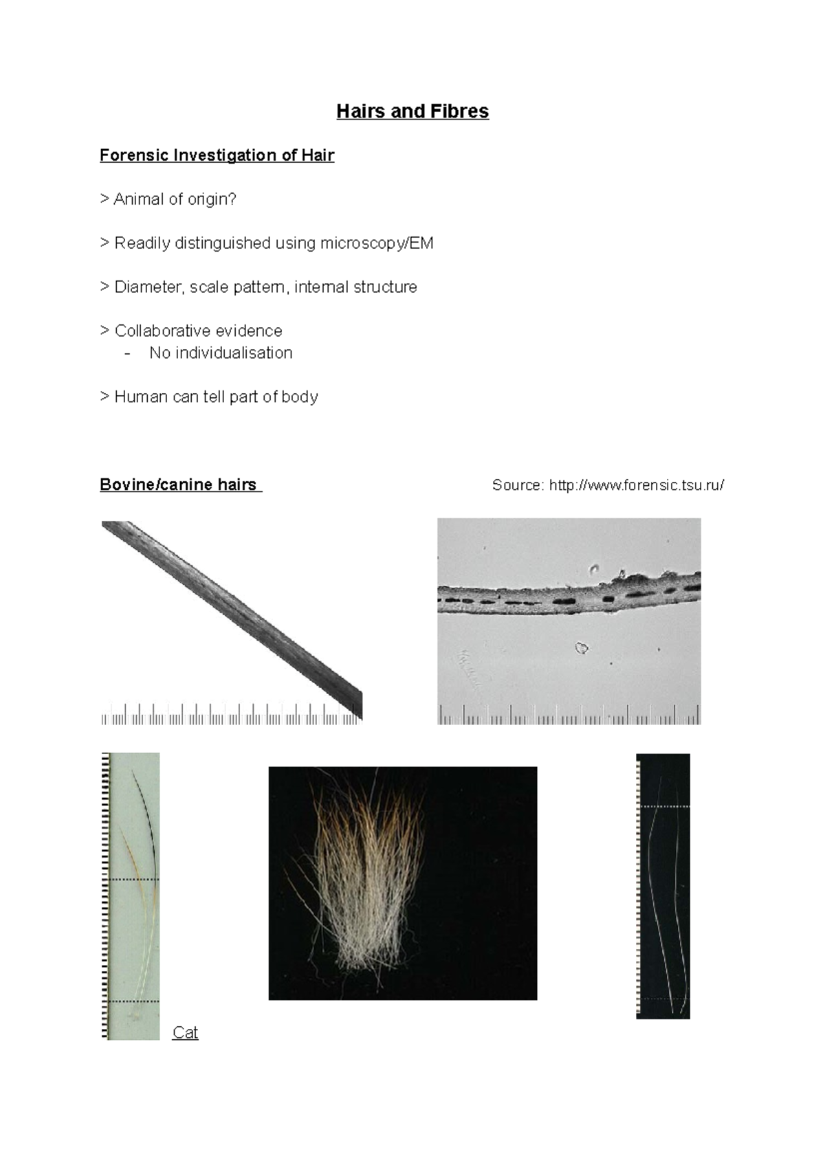 Forensic Investigation of Hairs and Fibres (FSCT 101) - Studocu