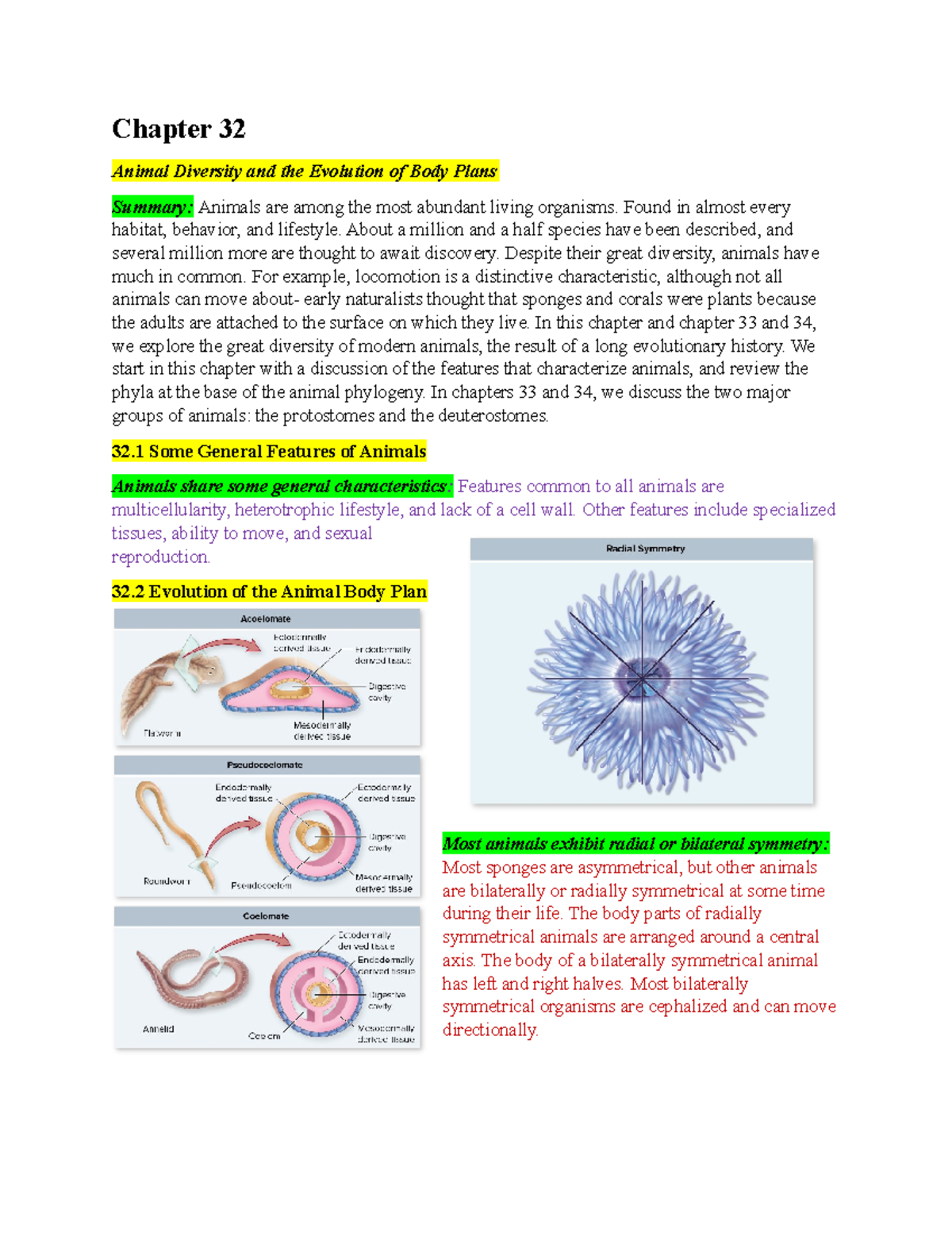 Chapter 32 Bio Notes - Biology - Chapter 32 Animal Diversity and the ...