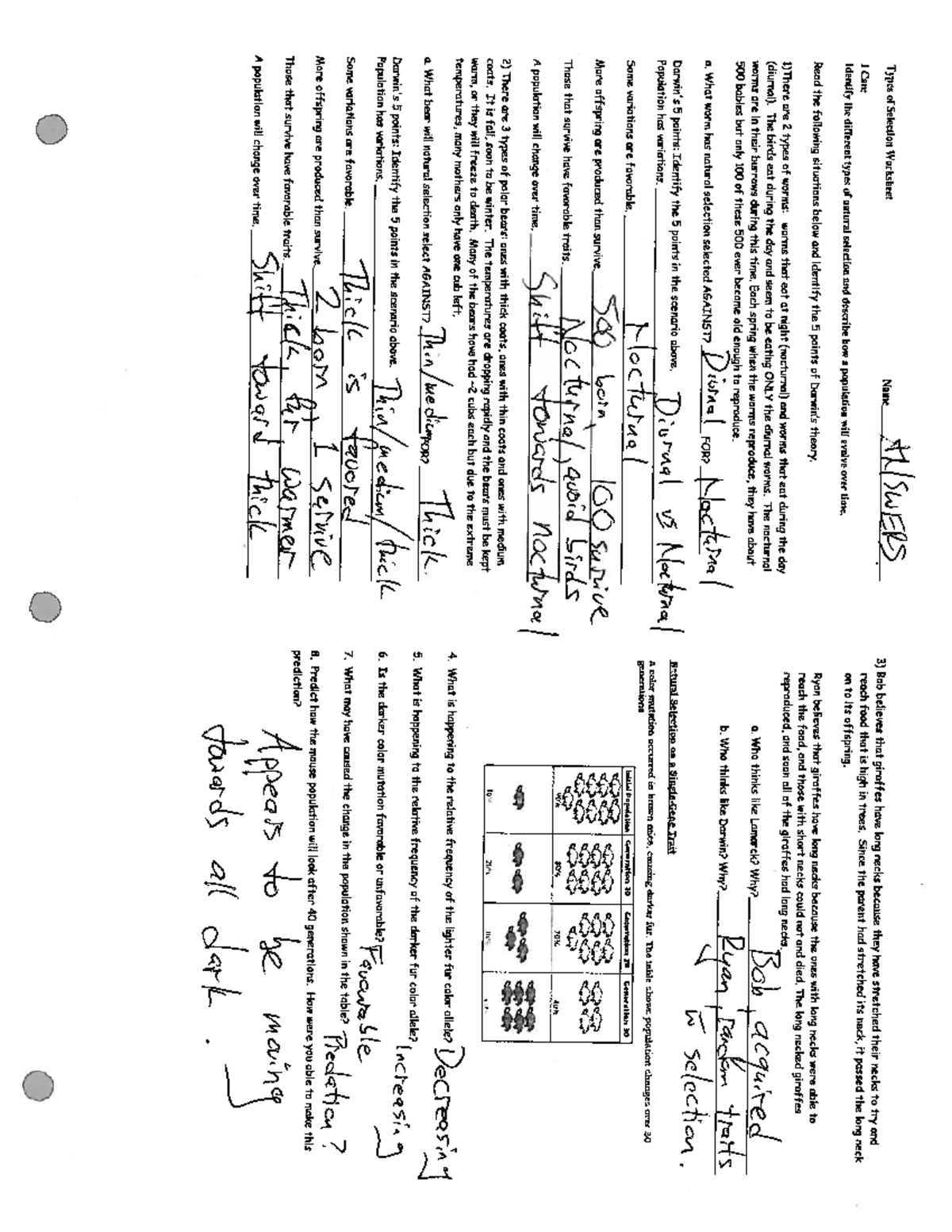 Types of Selection (Worksheet Answers) - Studocu