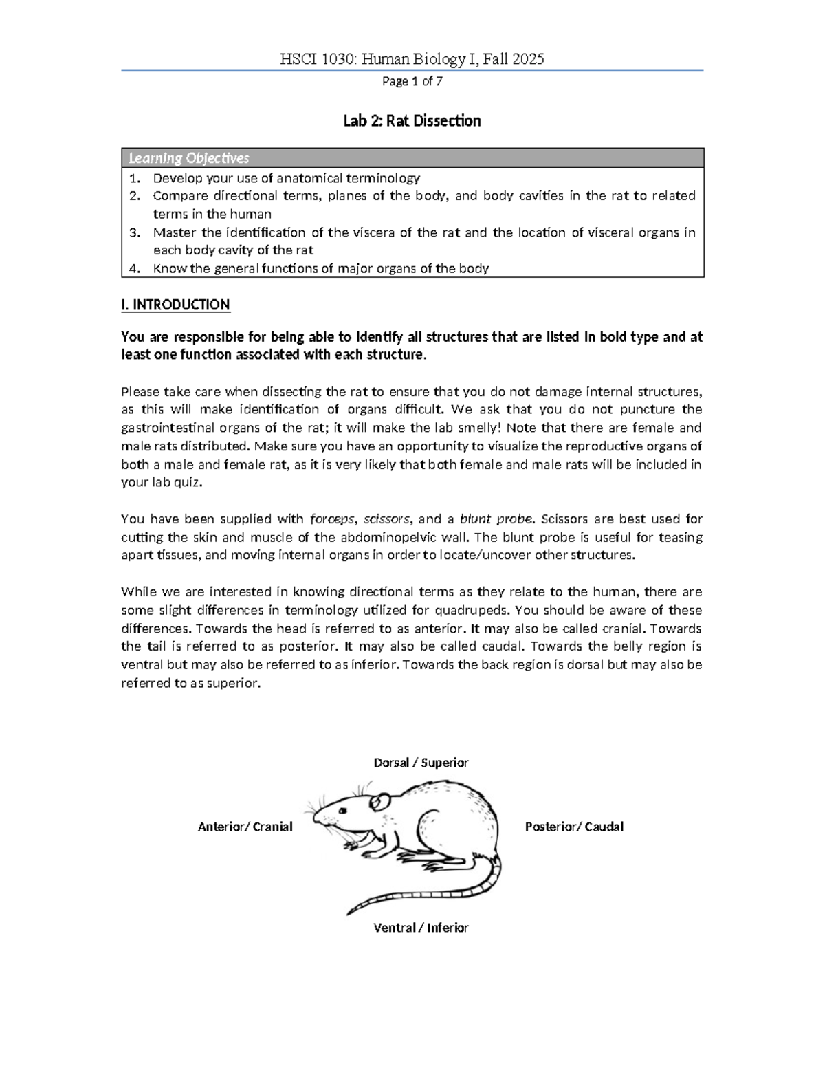 HSCI 1030: Lab 2 - Rat Dissection & Anatomy Terminology Guide - Studocu