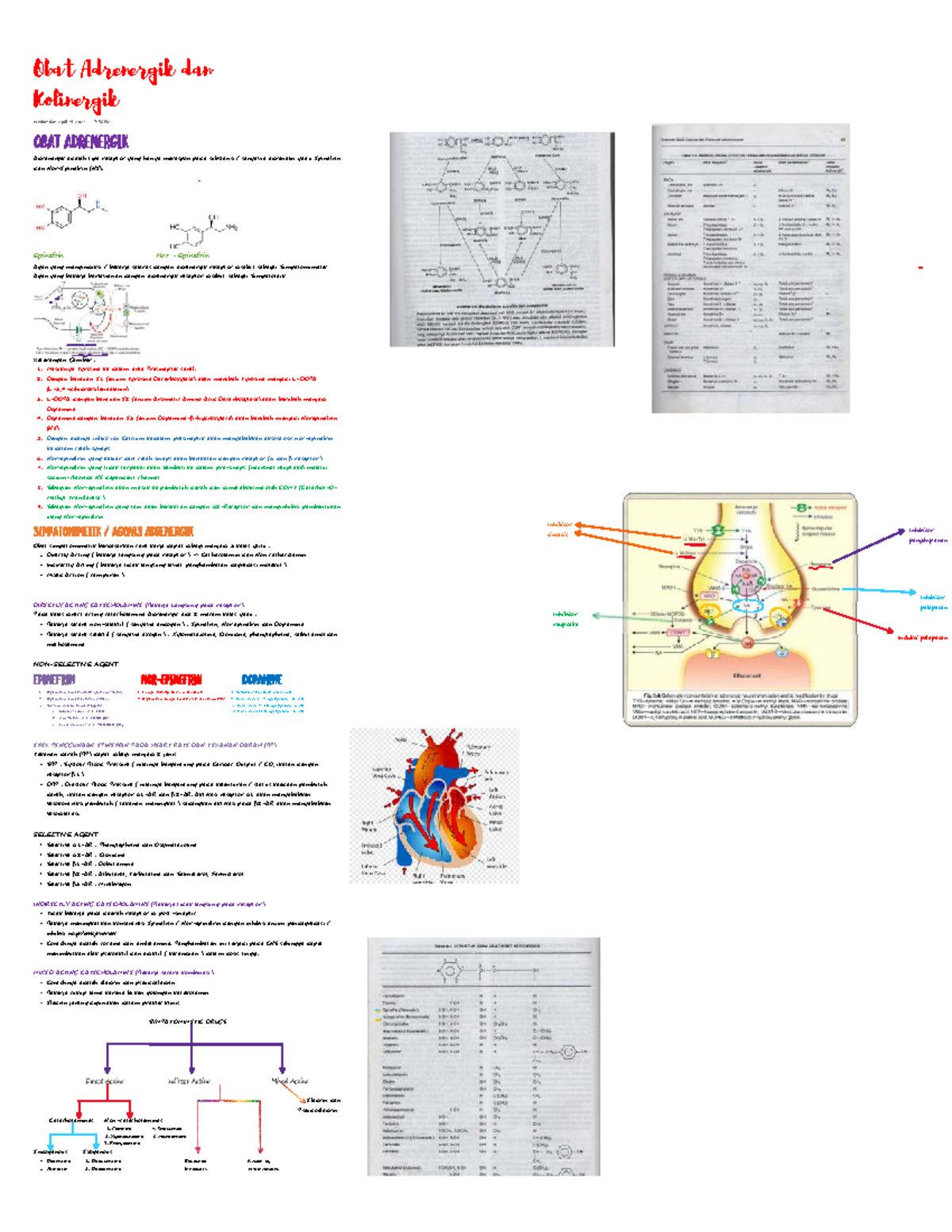 Obat Adrenergik dan Kolinergik: Mekanisme serta Klasifikasi Obat - Studocu