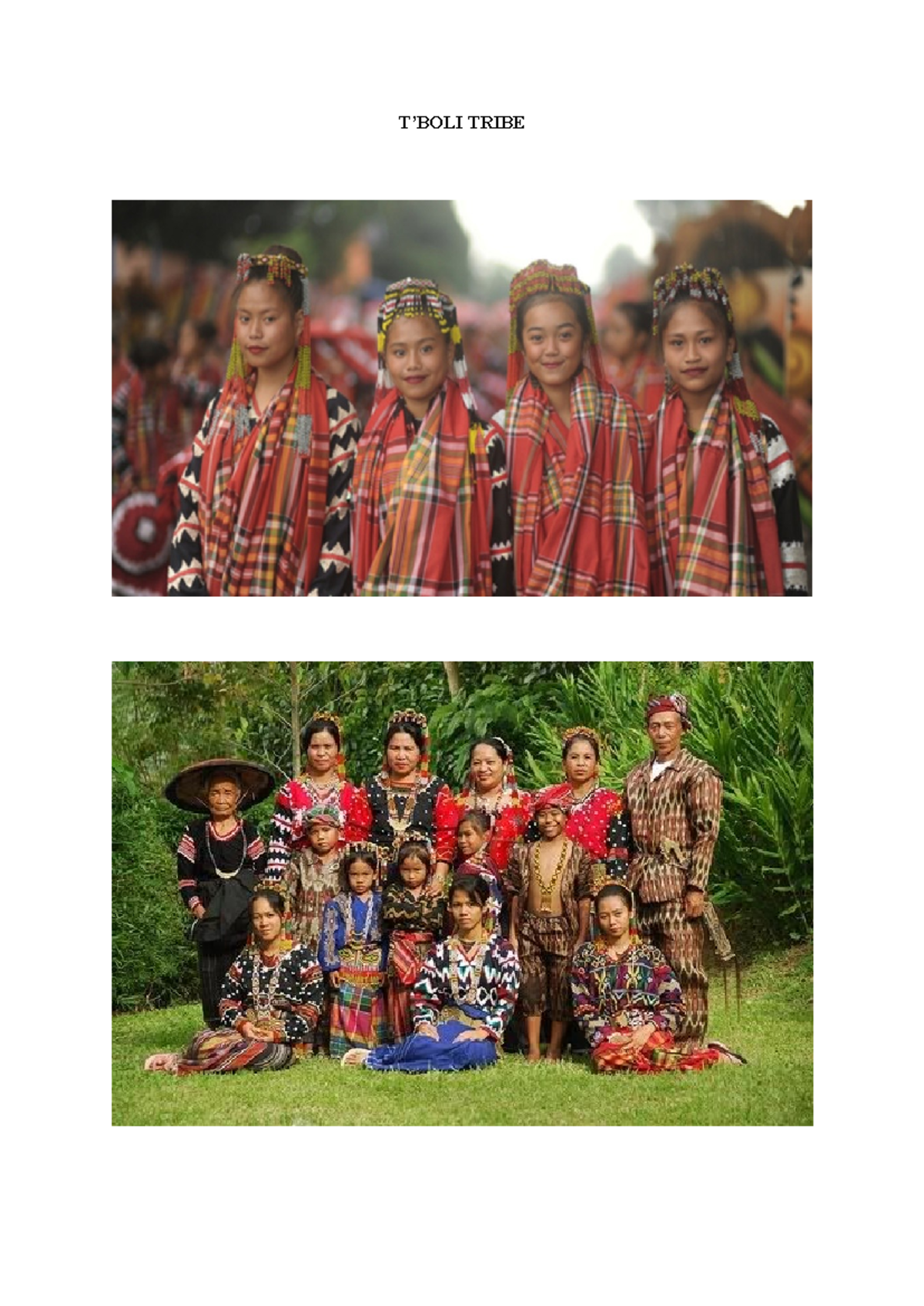 FIL101 - Cultural Practices and Traditions of the T'boli and Ivatan ...