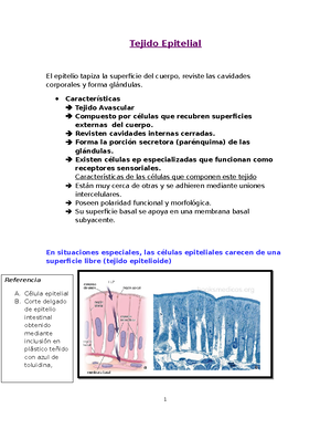 Tejido epitelial Capitulo 5 Ross Histología Epitelio Resumen - Warning: TT: undefined function ...