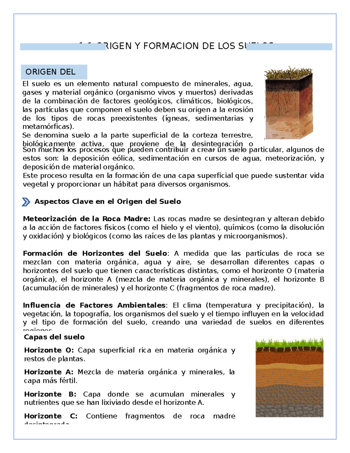 Orígen y Capas de los Suelos: Formación y Características Principales ...