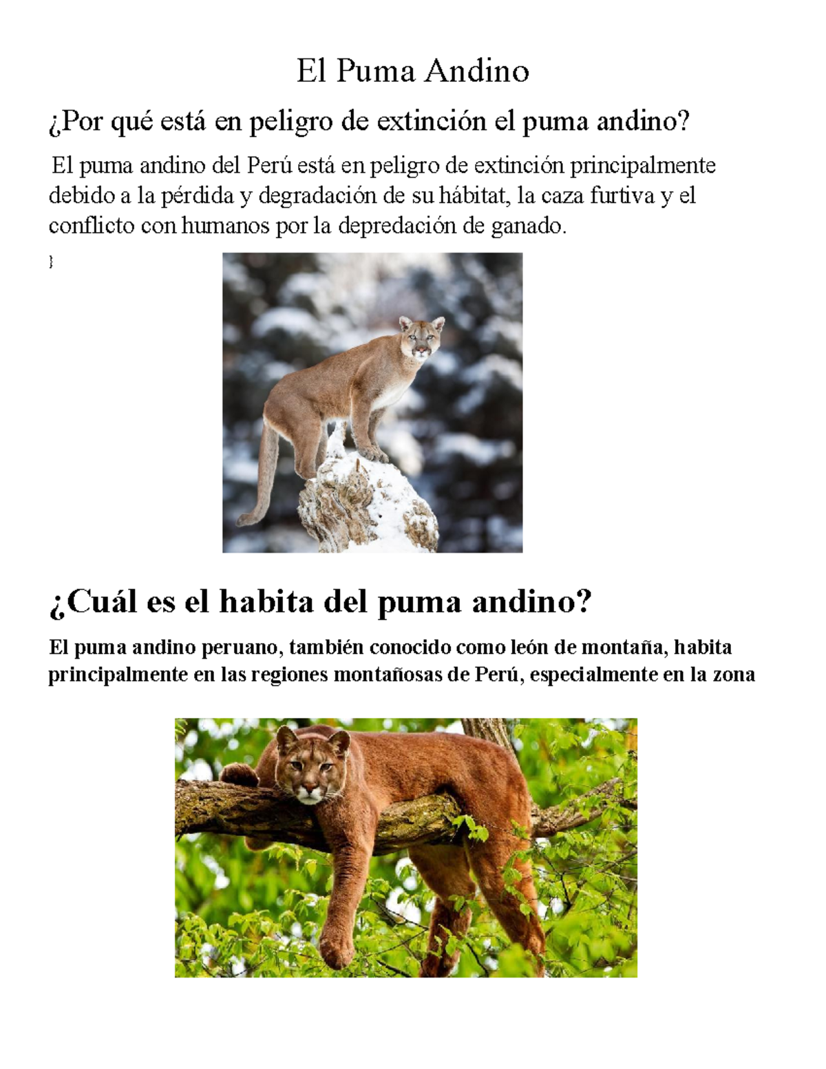 El Puma Andino: Amenazas y Hábitat en Perú - Studocu