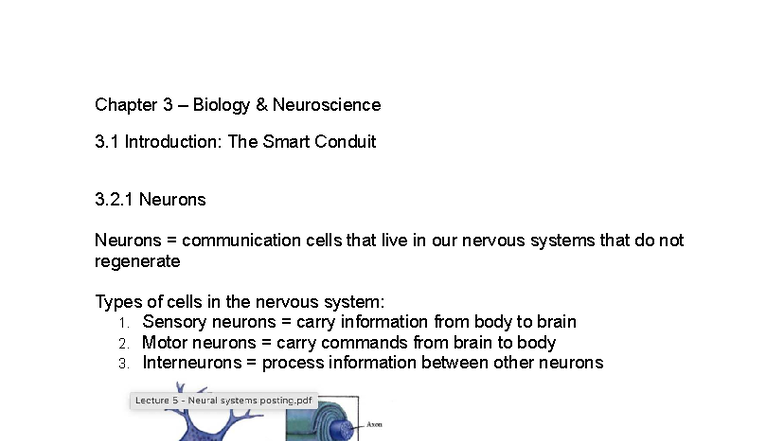 PSY 1101 – Chapter 3 Study Guide: Neuroscience Overview - Studocu
