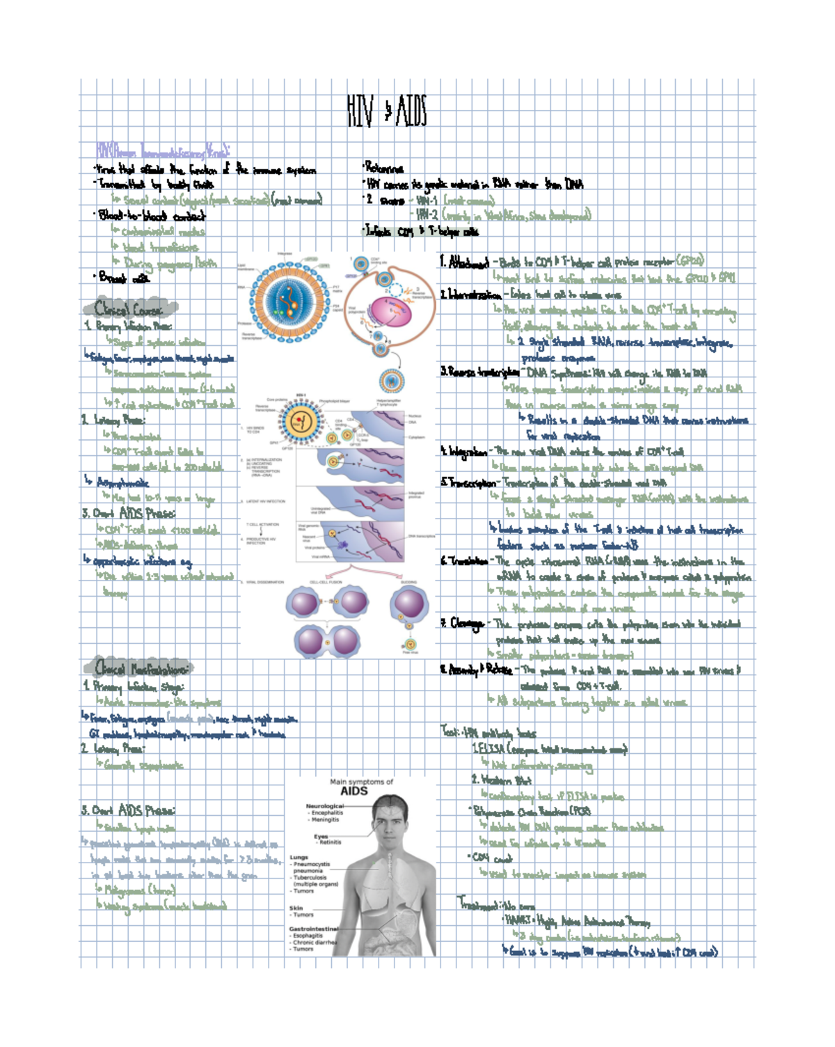 HIV & AIDS - Provides detailed explanations along with images to help ...