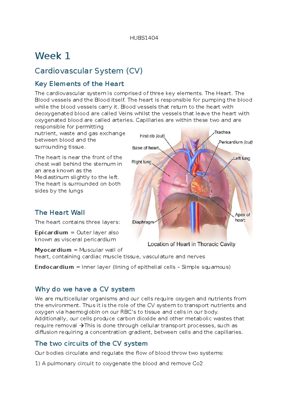 HUBS1404 Week 1 Cardiovascular System Overview and Key Concepts - Studocu