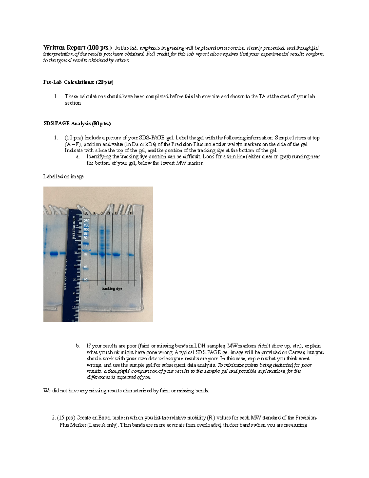 SDS-PAGE Native Lab Report: Analysis and Comparison of LDH Samples ...
