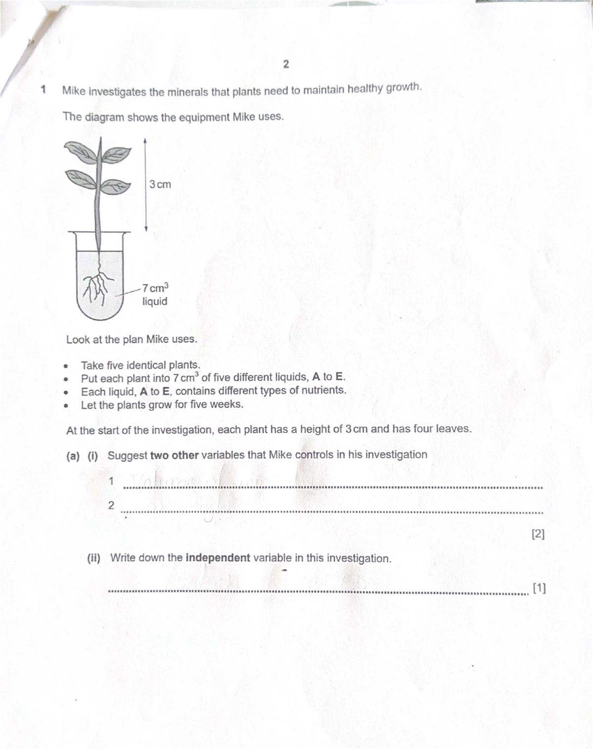 Science Progression Paper: Investigating Plant Nutrients and Reactions ...