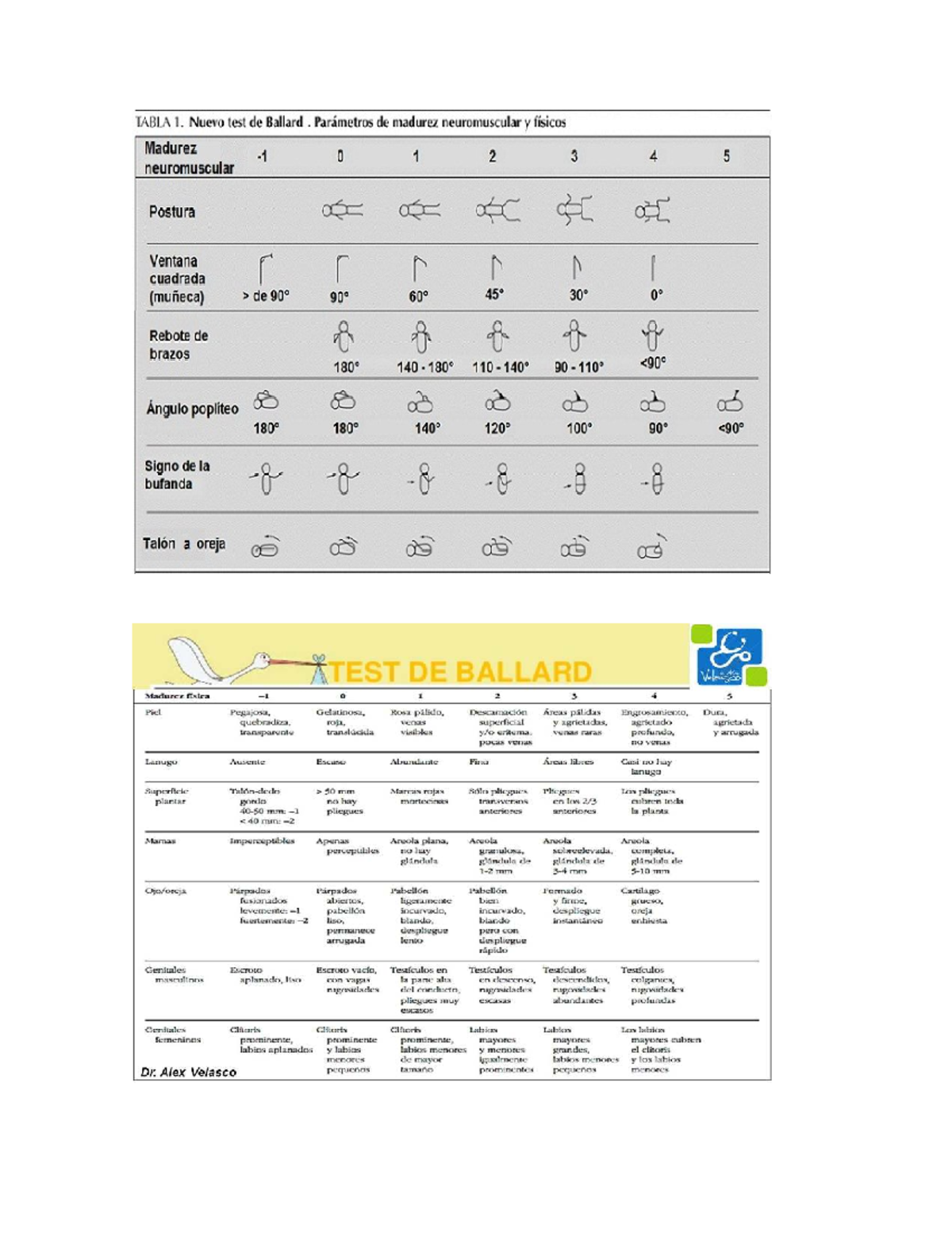 TABLA 1. Test de Ballard: Parámetros de Madurez Neuromuscular y Física ...
