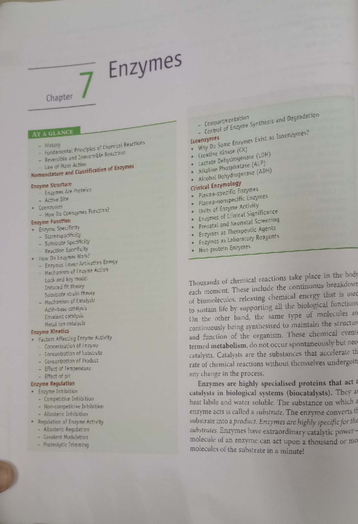 Enzymes: Chapter 7 - Compartmentation, Synthesis, and Clinical ...