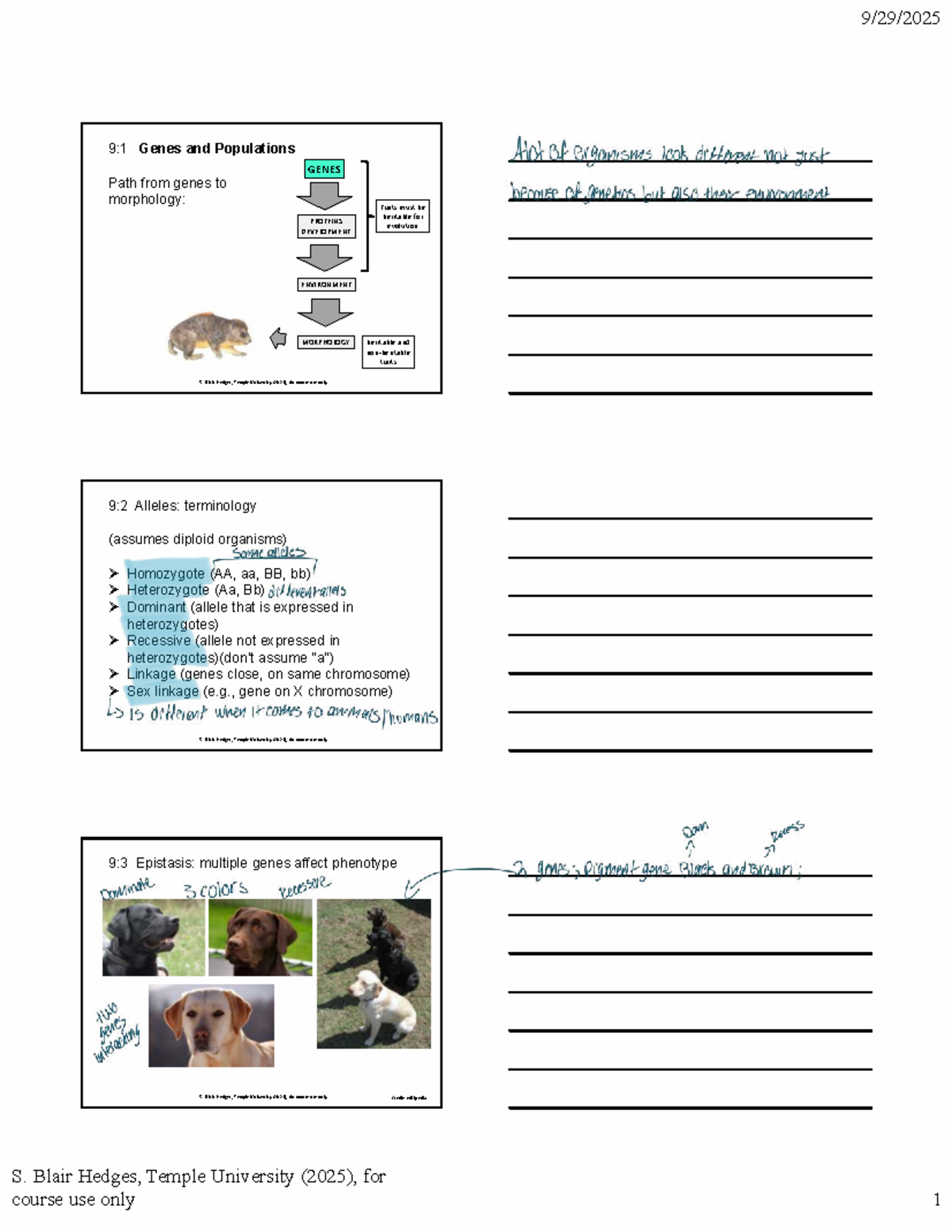 Population Genetics: Genes, Alleles, and HW Equilibrium (BIO 101) - Studocu