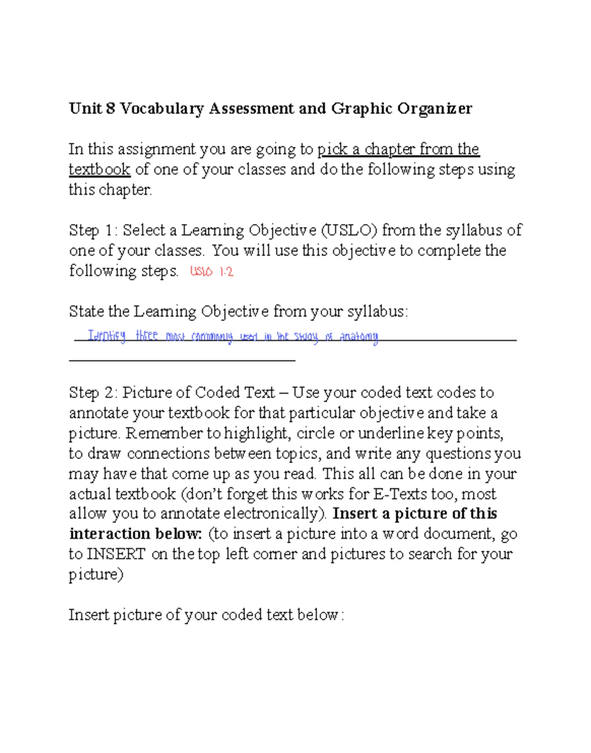 Graphic Organizers Assignment for A&P: Strategies & Reflections - Studocu