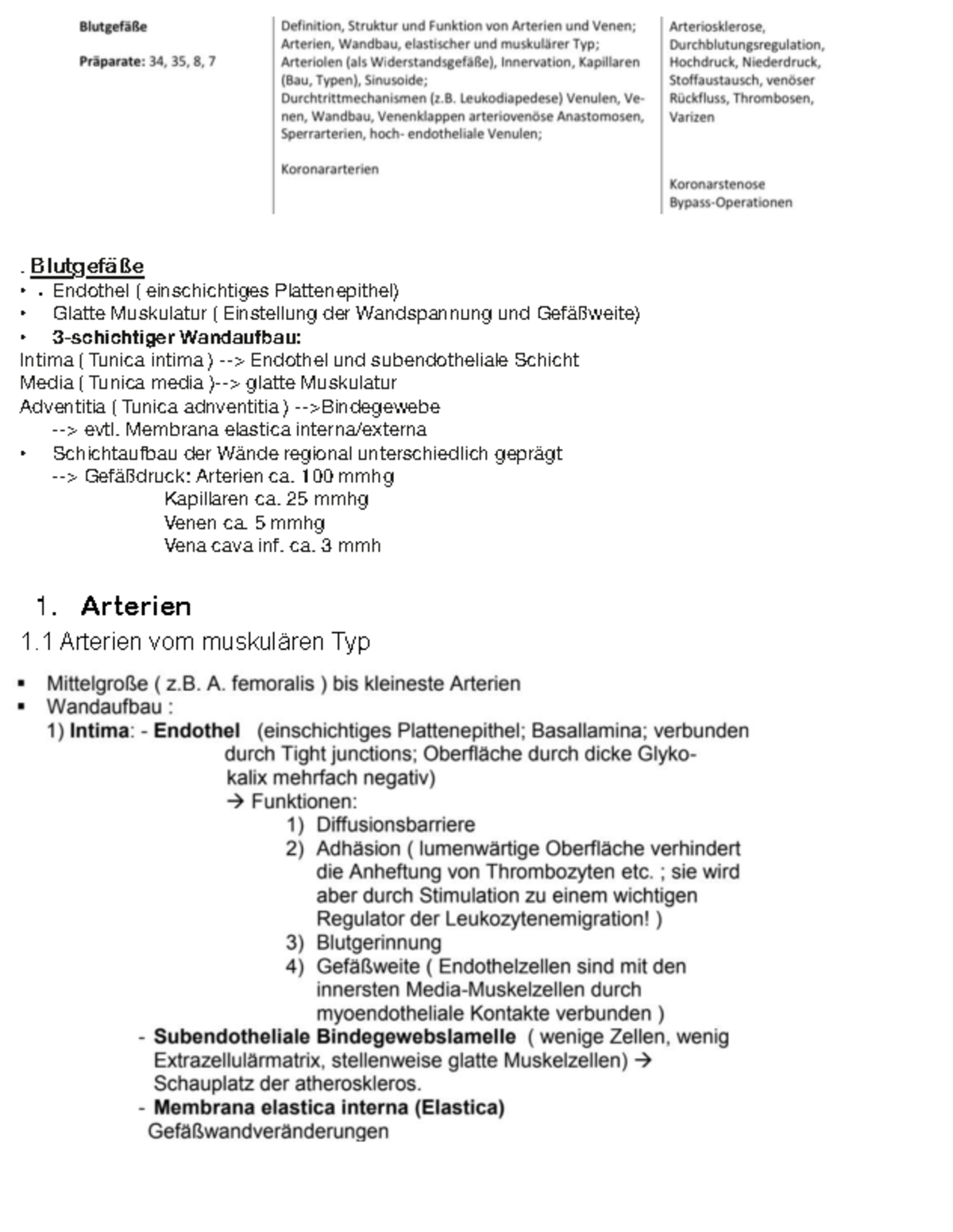 Blutgefäße - Zusammenfassung Arterien Aufbau und Wandstruktur - Studocu