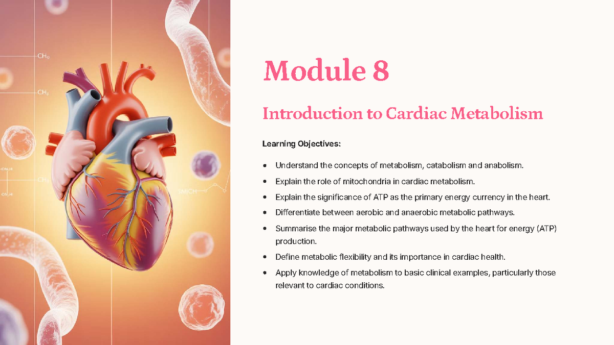Metabolic Pathways of the Heart: Overview of Catabolism & Anabolism ...