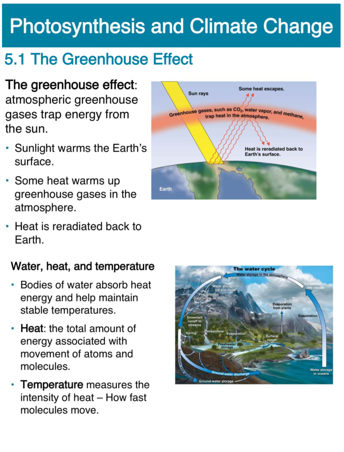 Photosynthesis and Climate Change: Key Concepts - Studocu
