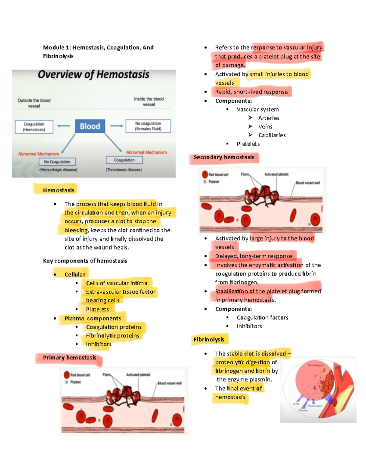 Module 1: Intro to Hemostasis, Coagulation & Fibrinolysis - Studocu