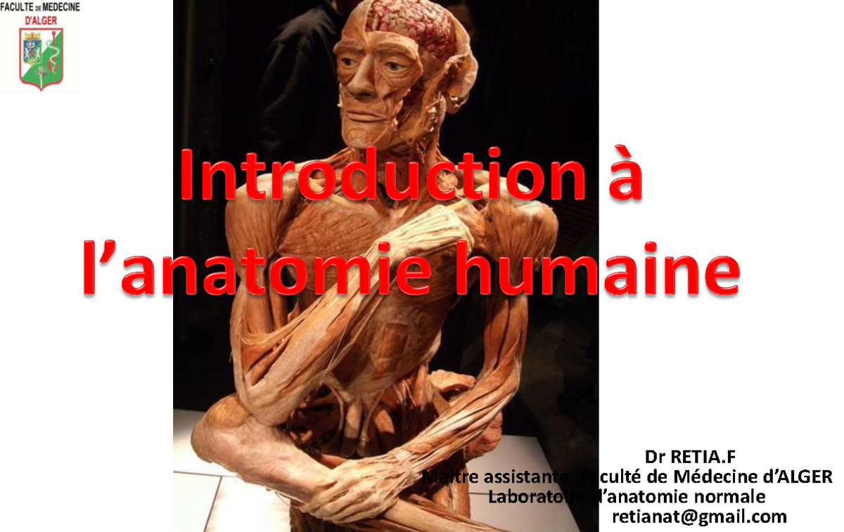 Introduction à l'Anatomie - Dr Retia: Concepts et Histoire - Studocu