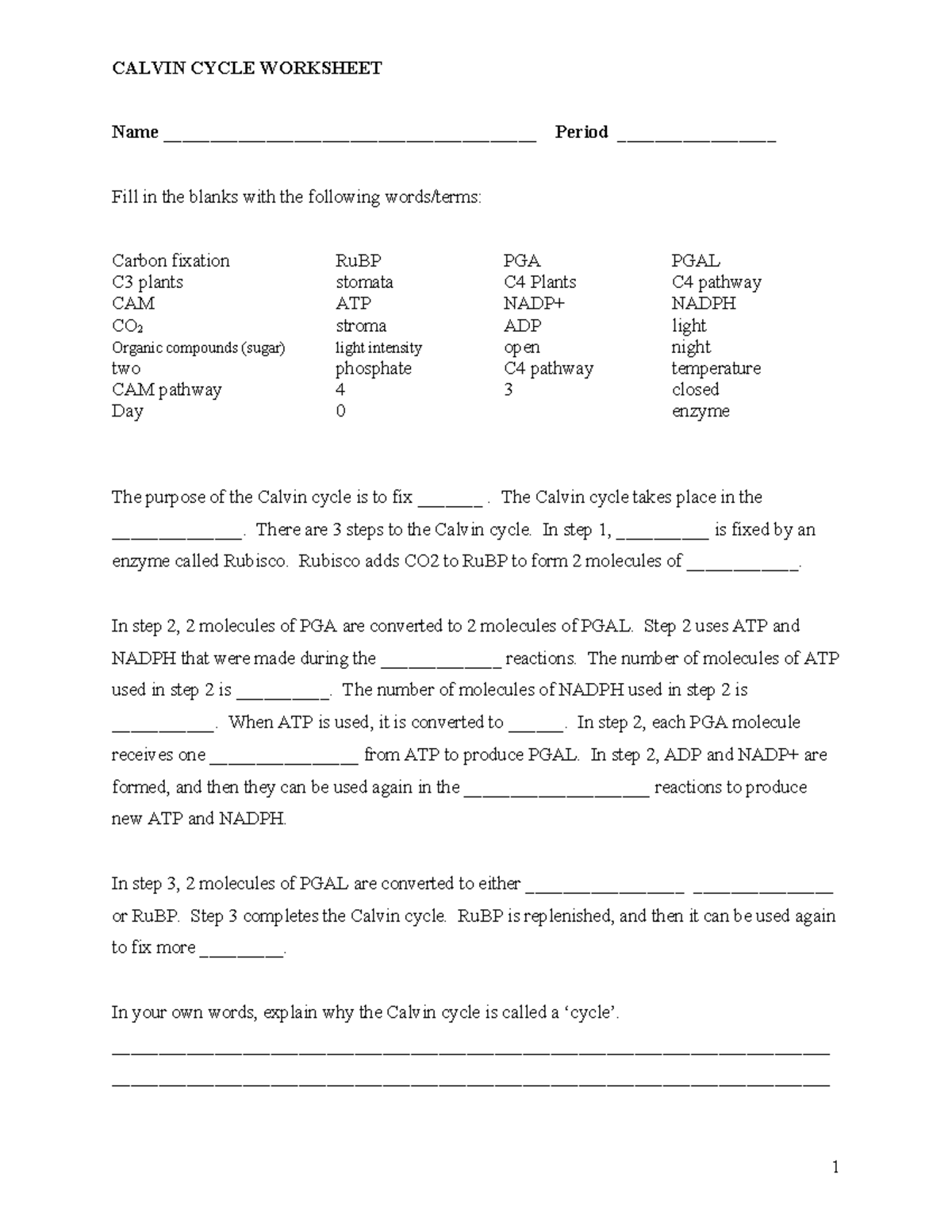 Calvin Cycle Worksheet: Understanding Carbon Fixation and Pathways ...