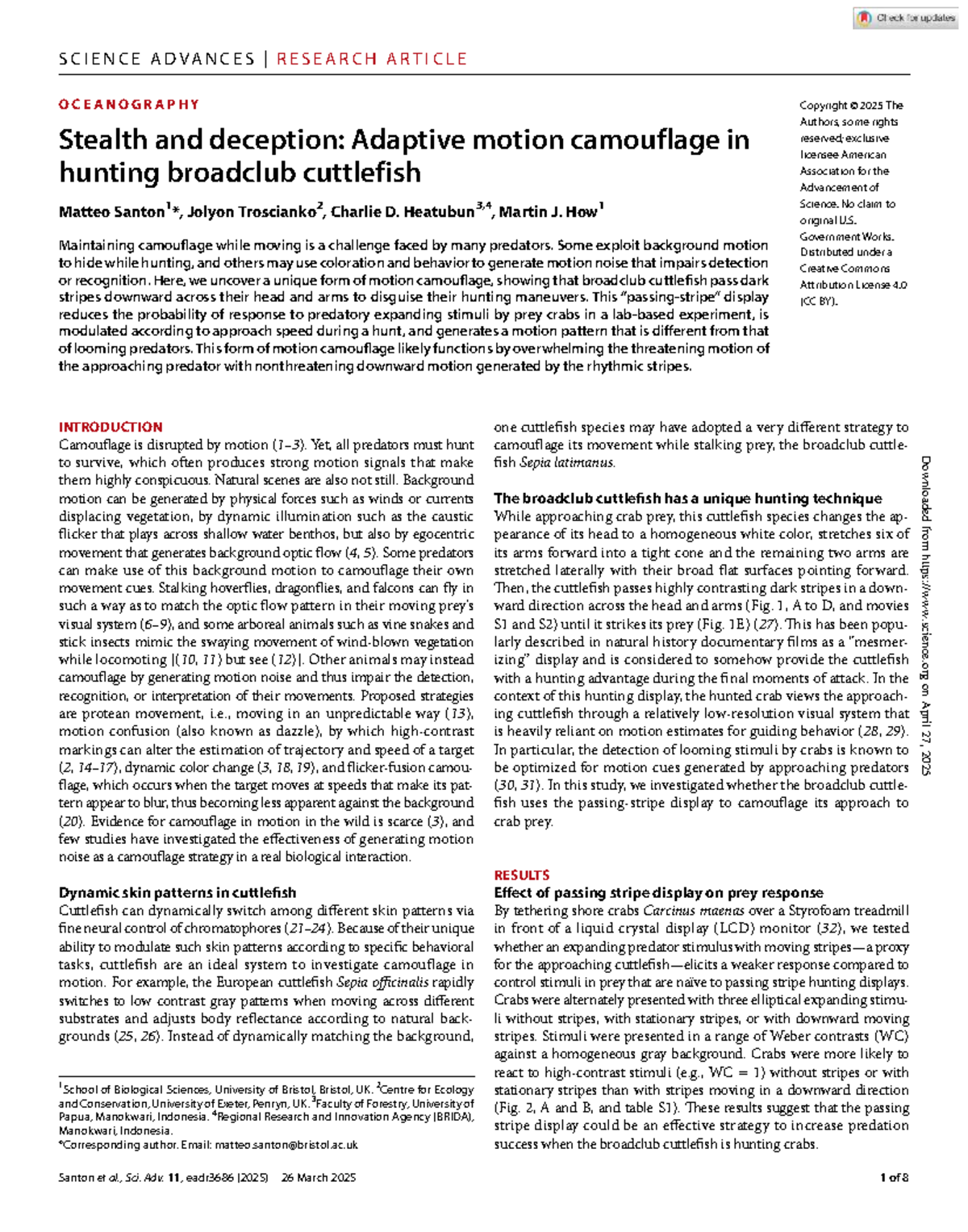 Stealth and Deception: Motion Camouflage in Broadclub Cuttlefish (Sci ...