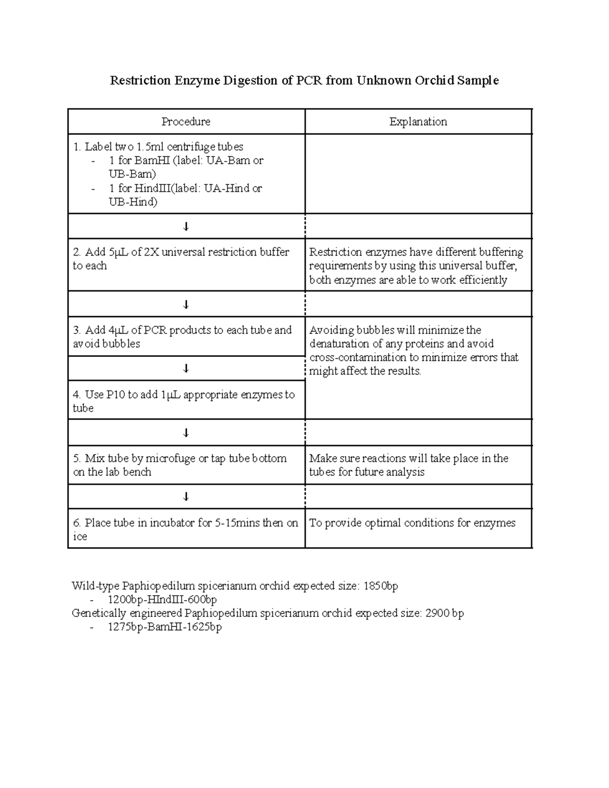 BIO130 Lab 3 Flowcharts - Restriction Enzyme Digestion of PCR from ...