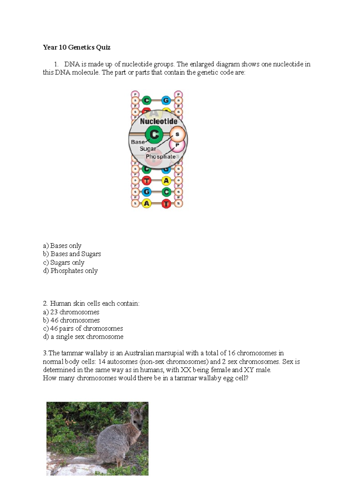 Year 10 Genetics Quiz 1: DNA Structure and Inheritance Concepts - Studocu