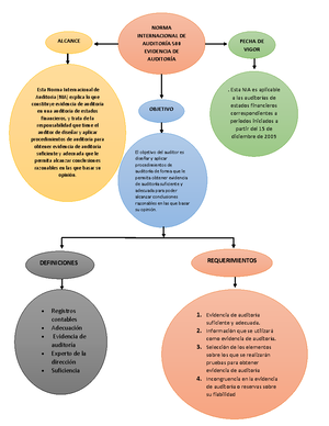 NIA-706 - NIA 706 - 1 NIA 706 (REVISADA) NORMA INTERNACIONAL DE ...