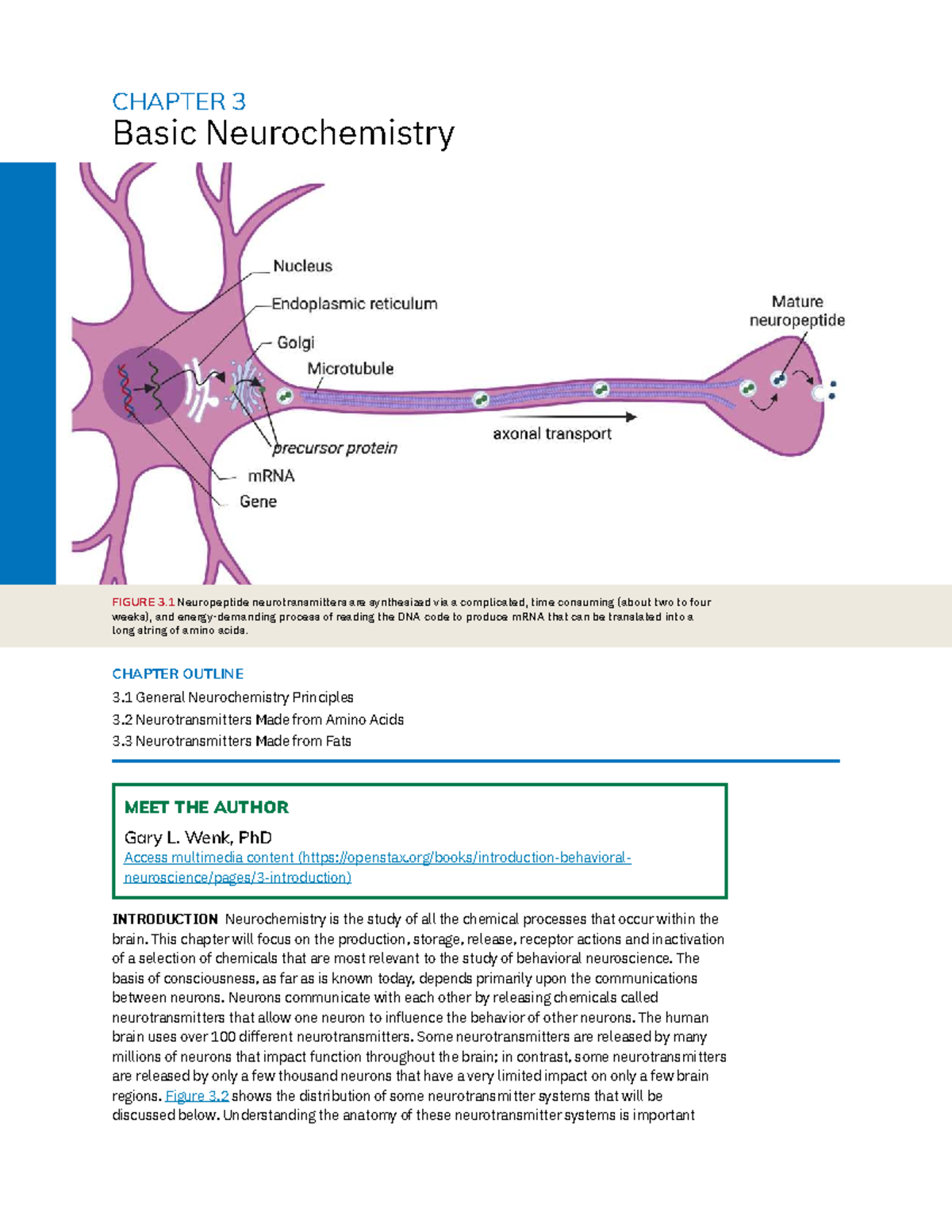 CHAPTER 3: Basic Neurochemistry - Neurotransmitter Functions ...