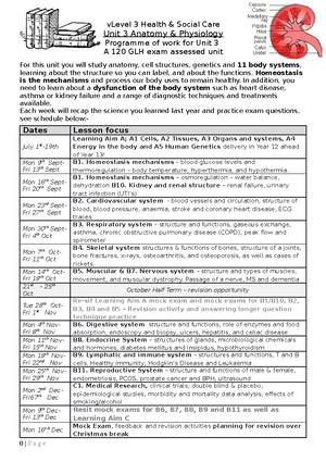 Understanding the Central Nervous System: Structure and Functions - Understanding the Central ...