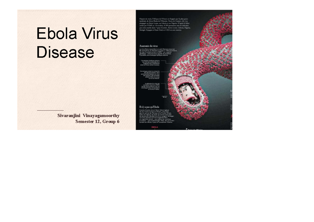 Ebola Virus Disease Overview - Semester 12, Group 6 Notes - Studocu