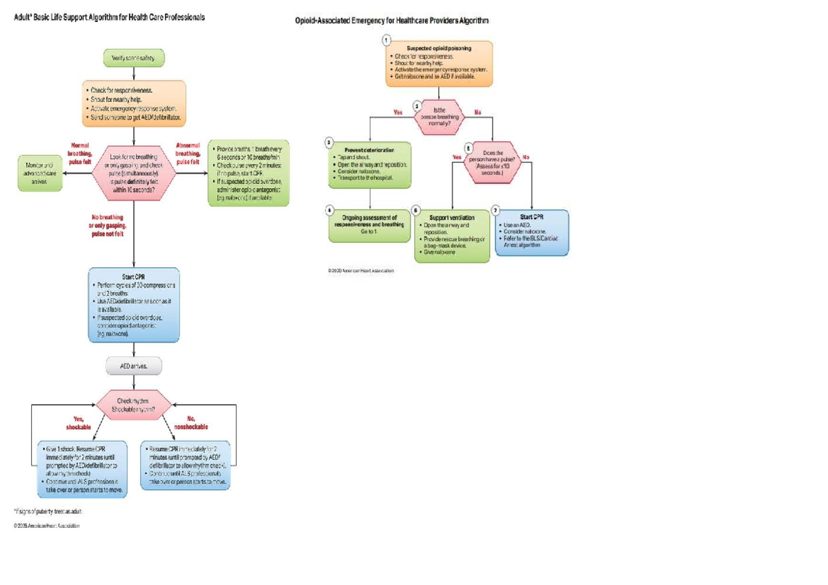 Basic Life Support Algorithm for Healthcare Providers (BLS 2025) - Studocu