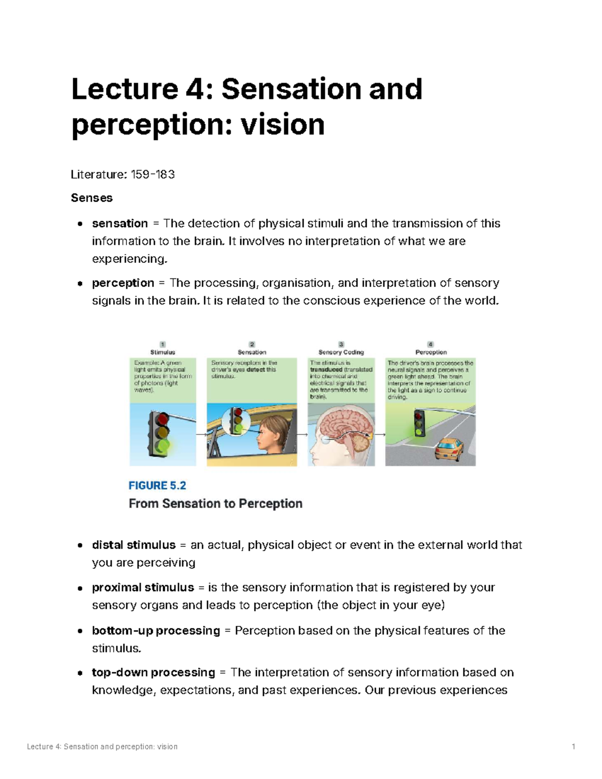 Lecture 4: Sensation and Perception - Vision Insights - Studeersnel