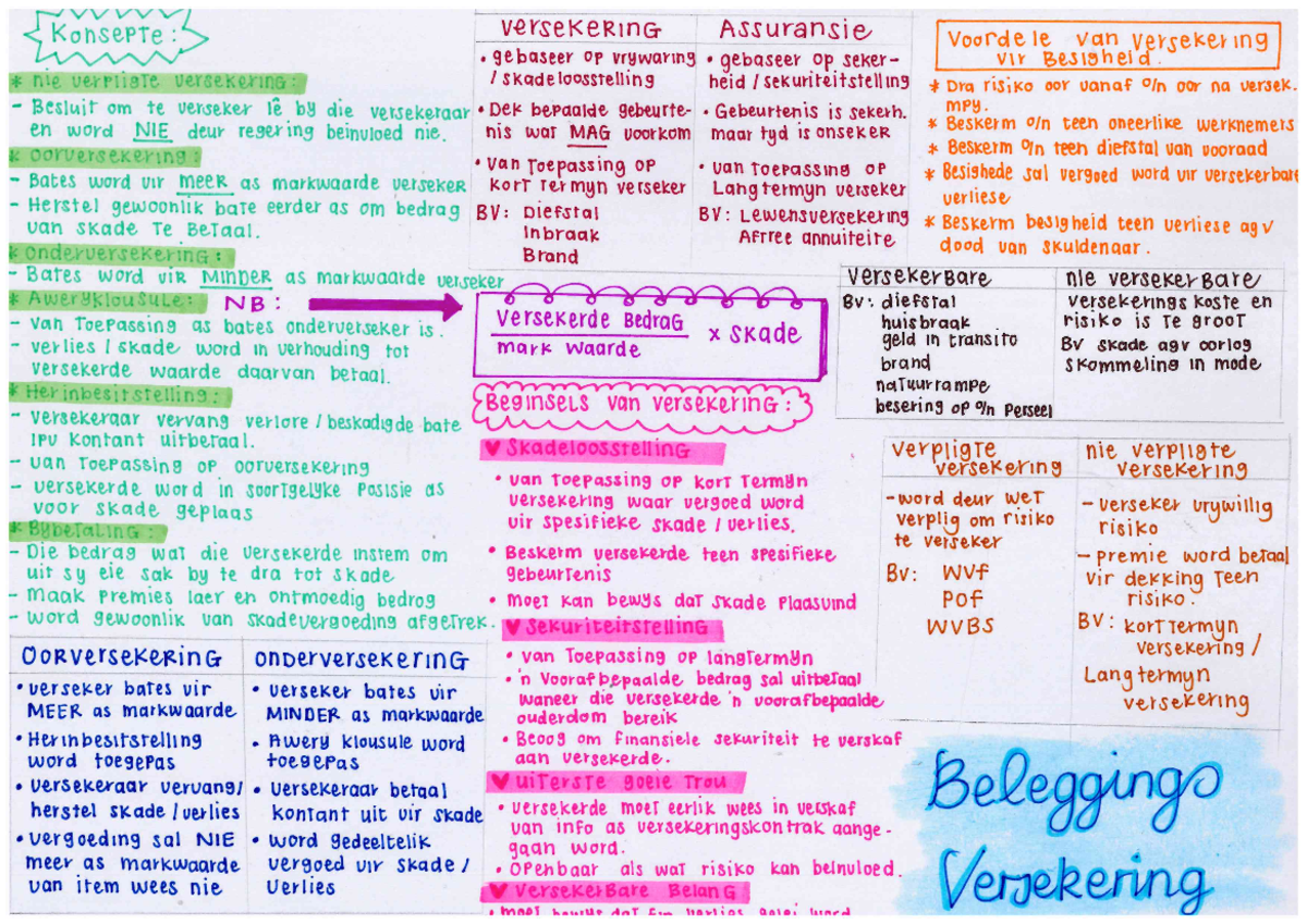 Beleggings Versekering 1: Konsepte en Beginsels van Versekering - Studocu