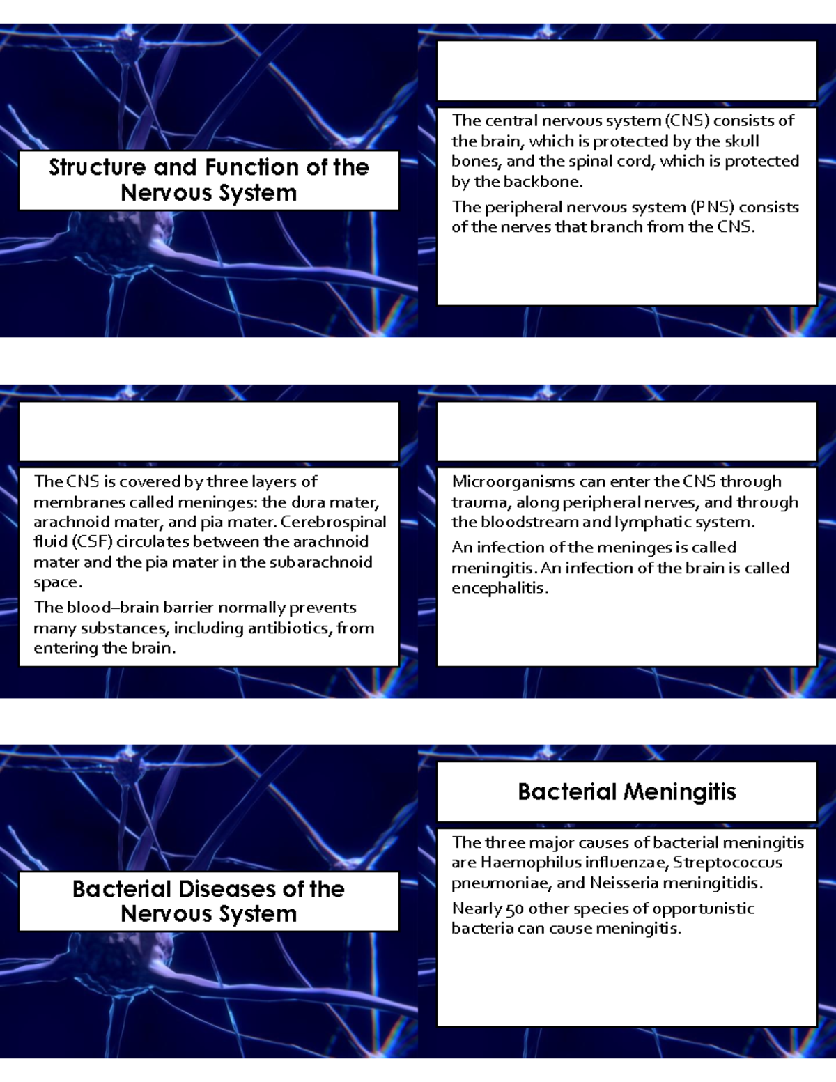 Diseases in CNS - Structure and Function of the Nervous System The ...