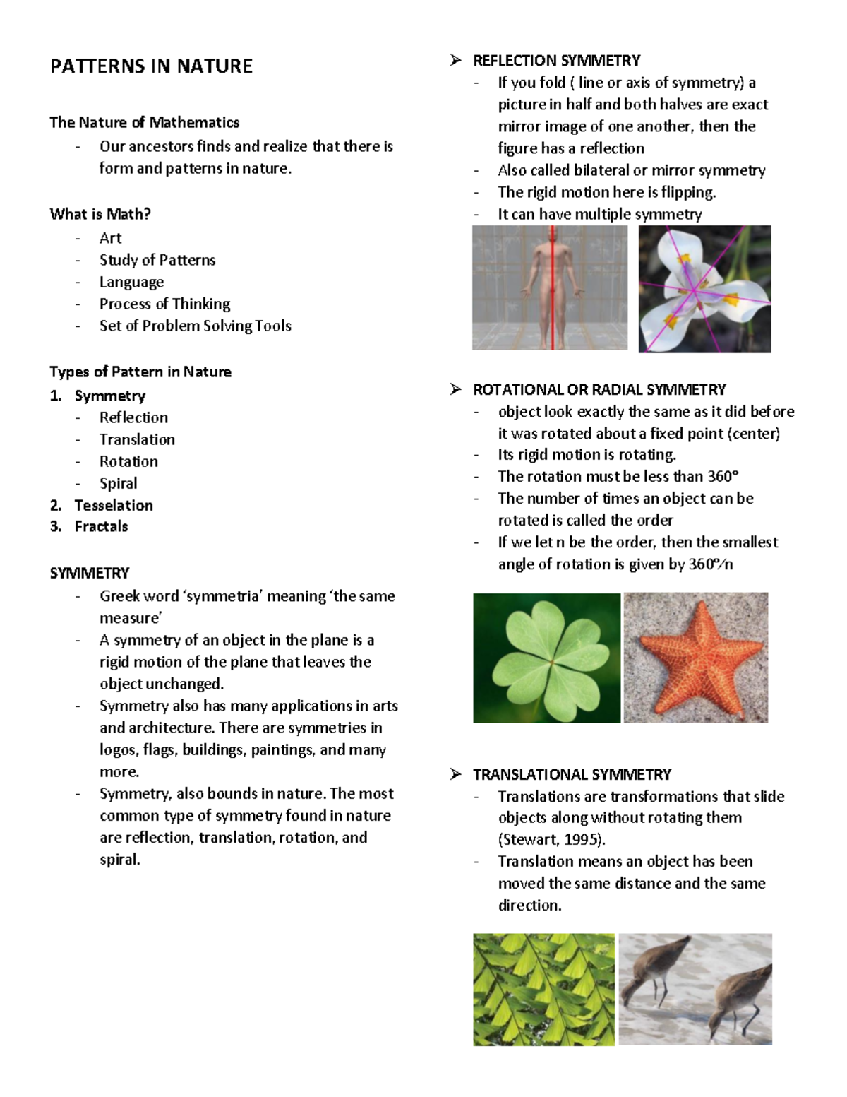 Patterns in Nature - Math Concepts and Symmetry Notes - Studocu
