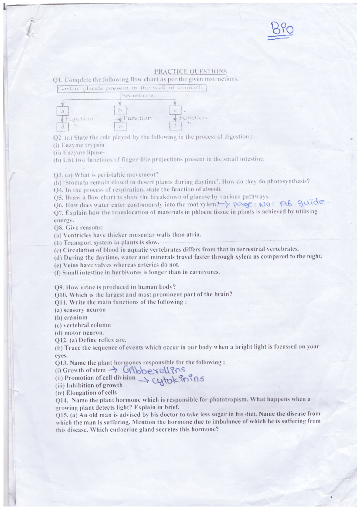 Biology & Chemistry Practice Questions - Review & Answers - Studocu