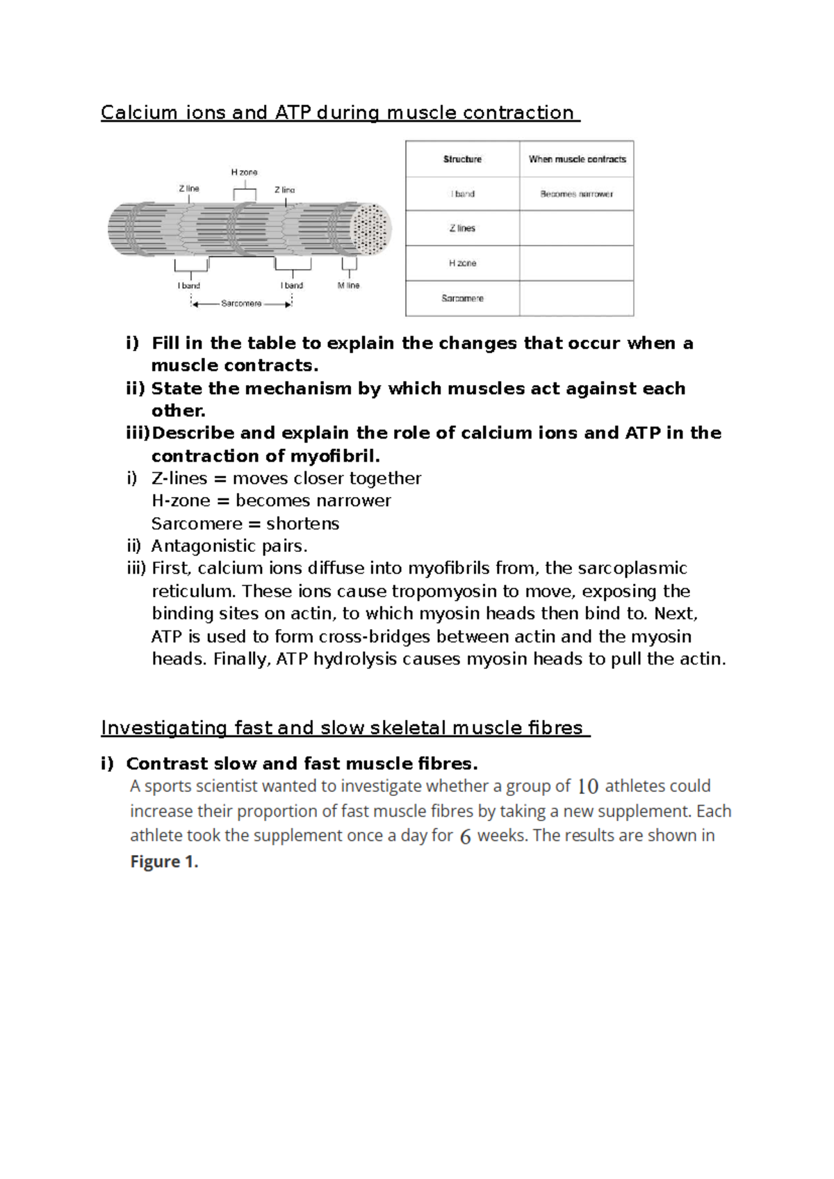 Muscle Contraction Mechanisms: Calcium Ions, ATP, and Fiber Types ...