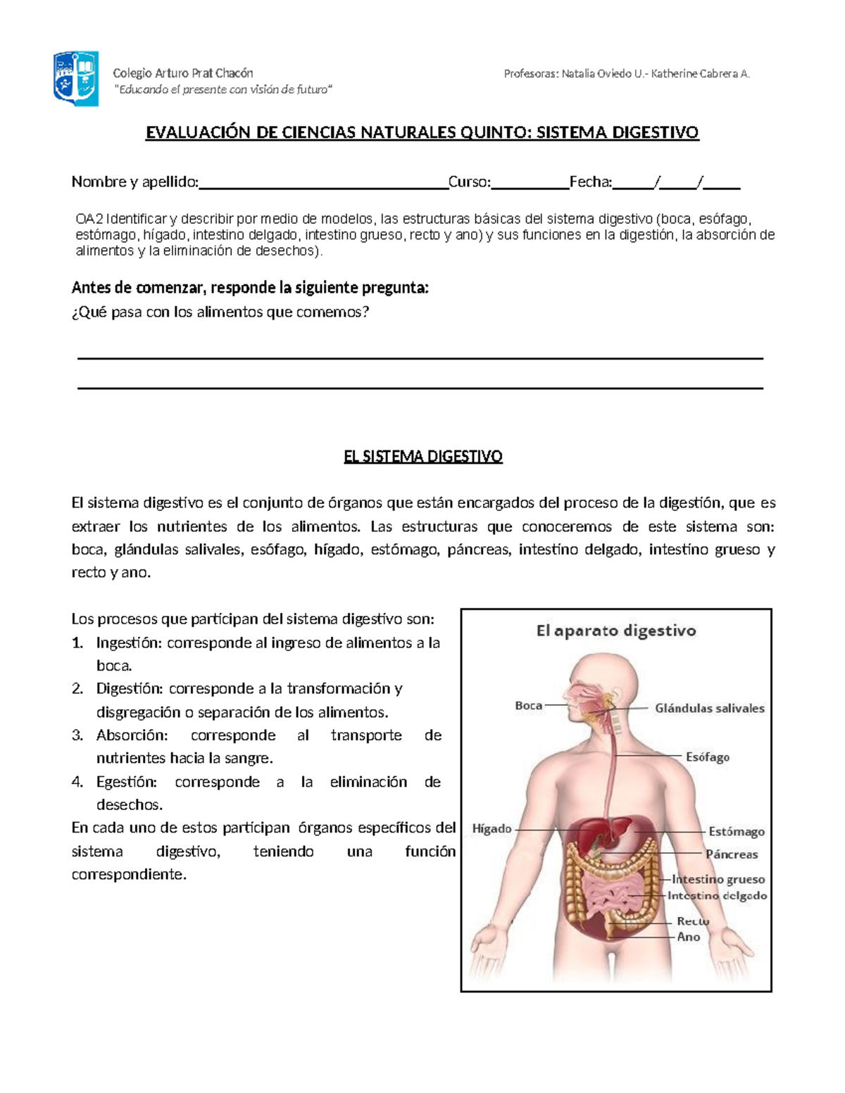 Evaluación 5° Básico - Ciencias Naturales: Sistema Digestivo - Studocu