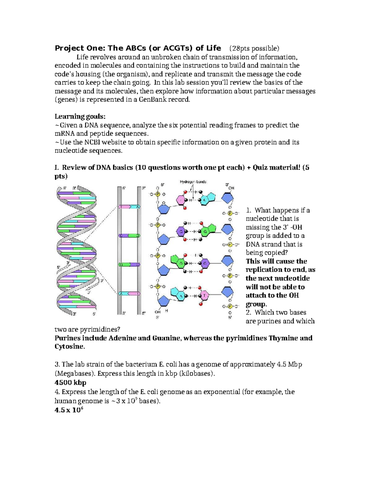 Project 1: The ABCs of Life - DNA Basics & Gene Analysis (28pts) - Studocu
