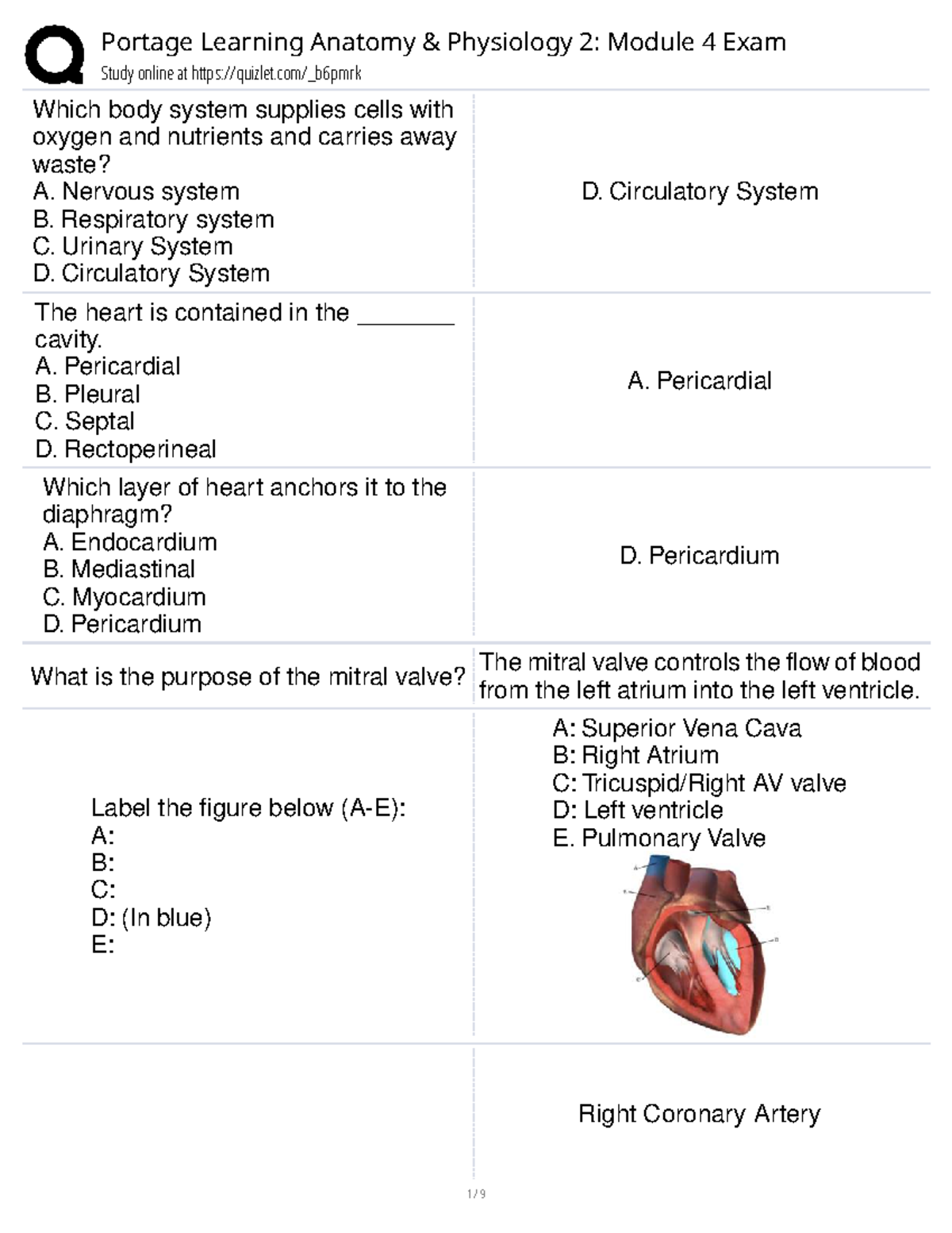 Portage Learning Anatomy Physiology 2: Module 4 Exam Study Guide - Studocu