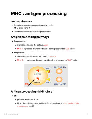 Lecture 4 MHC. - MHC Learning objective Understand antigen presentation ...
