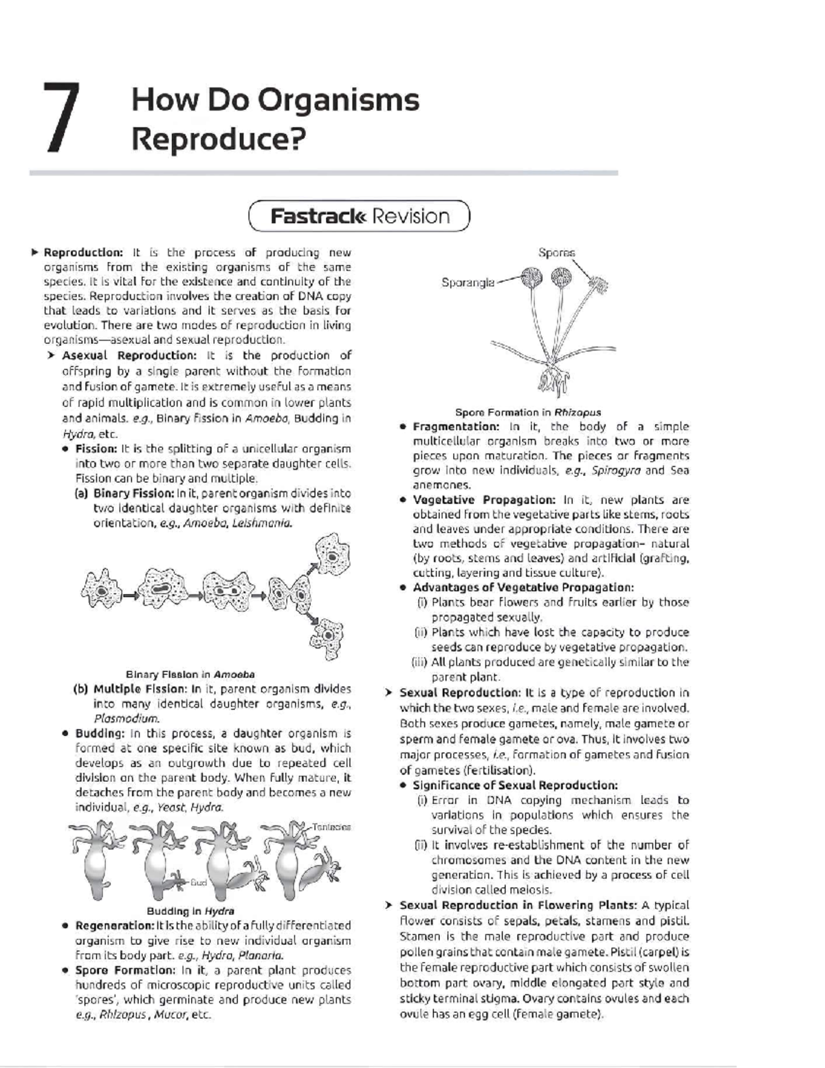 Reproduction in Organisms: A Comprehensive Study (BIO 101) - Studocu