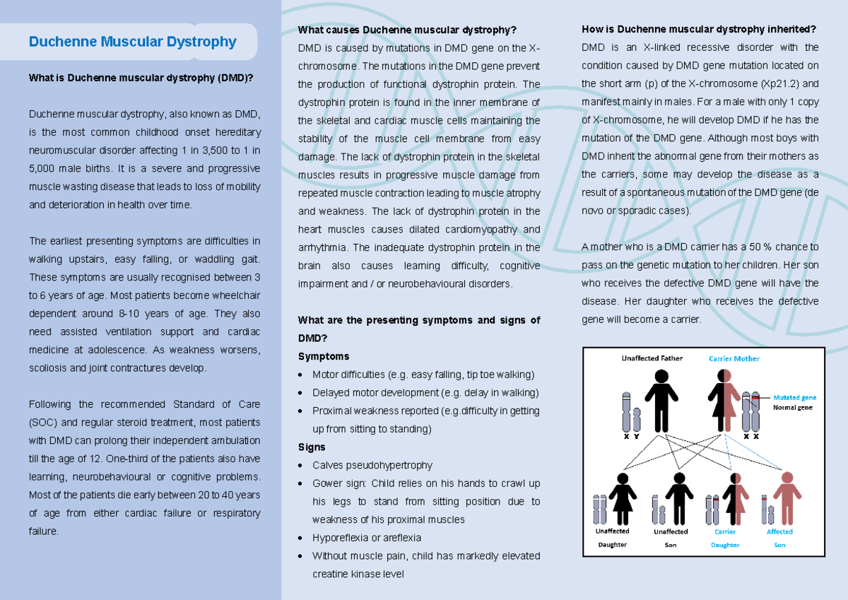 Duchenne Muscular Dystrophy Overview: Causes, Symptoms & Care - Studocu