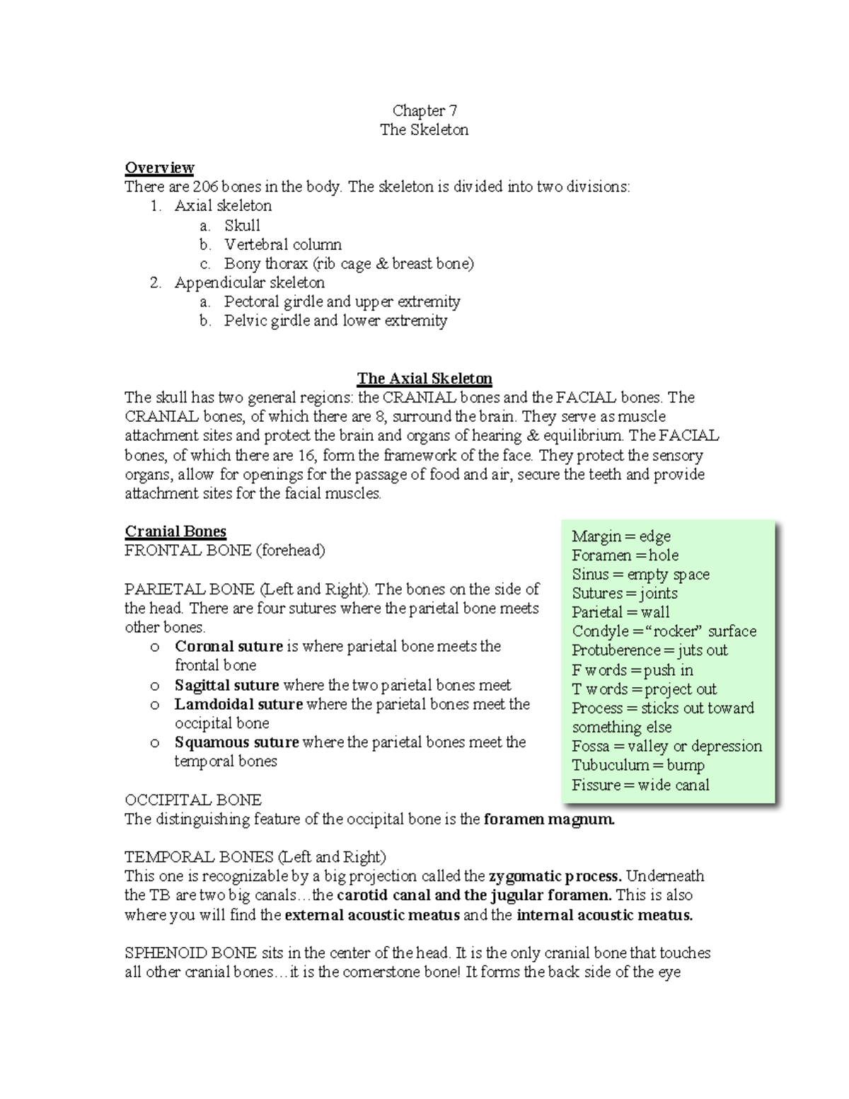 Chapter 7: Overview of the Human Skeleton (206 Bones) - Studocu
